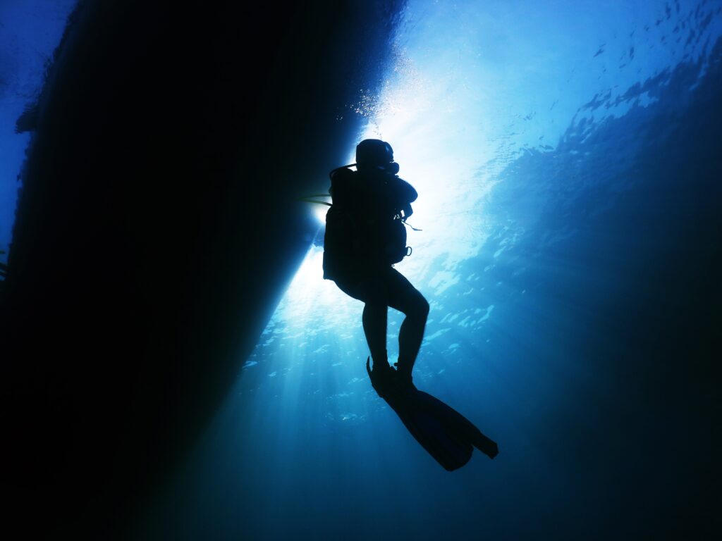 İSTANBUL TÜPLÜ DALIŞ EĞİTİMLERİ FİYATLARI - Fethiye Diving Centre